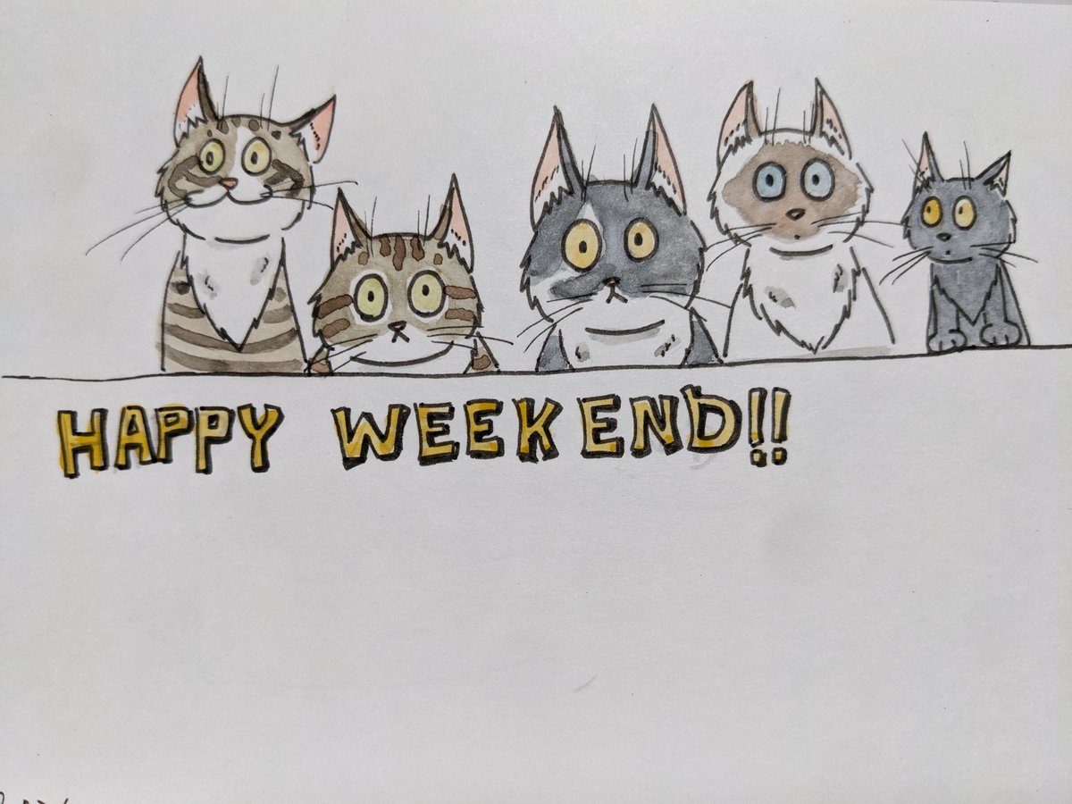 Happy Weekend Cats