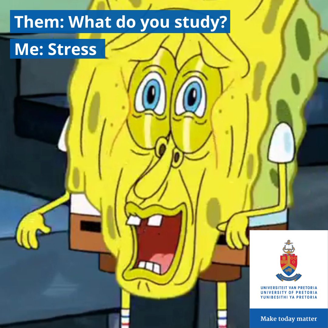 Stress Spongebob Meme