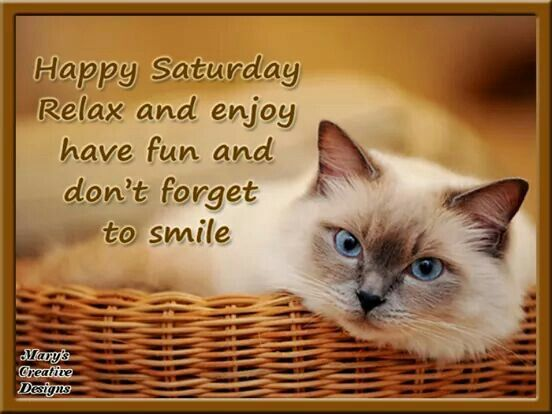 Happy Saturday Cat Little Girl In Pajamas Relaxing On A Window Sill