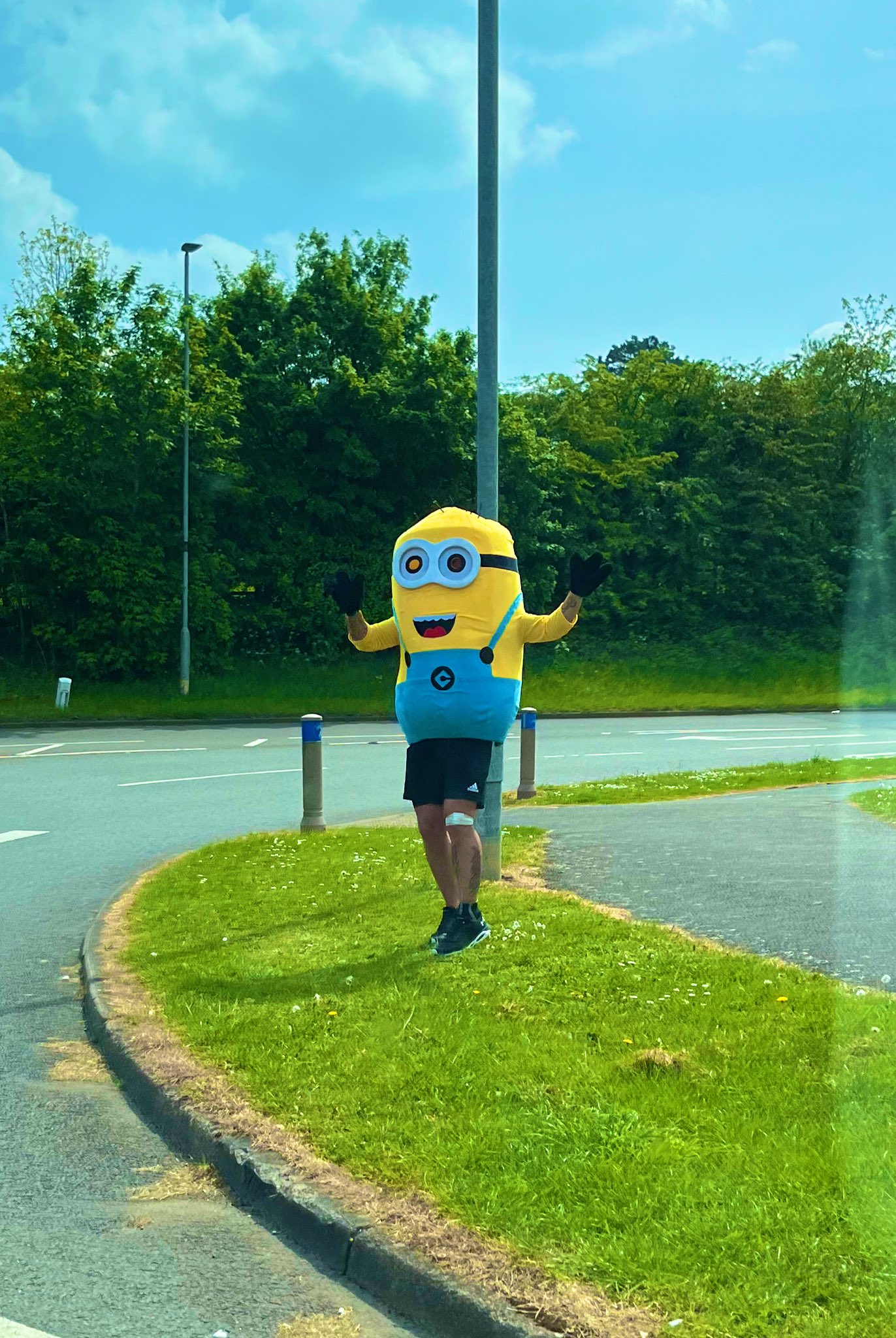 Minion Waving