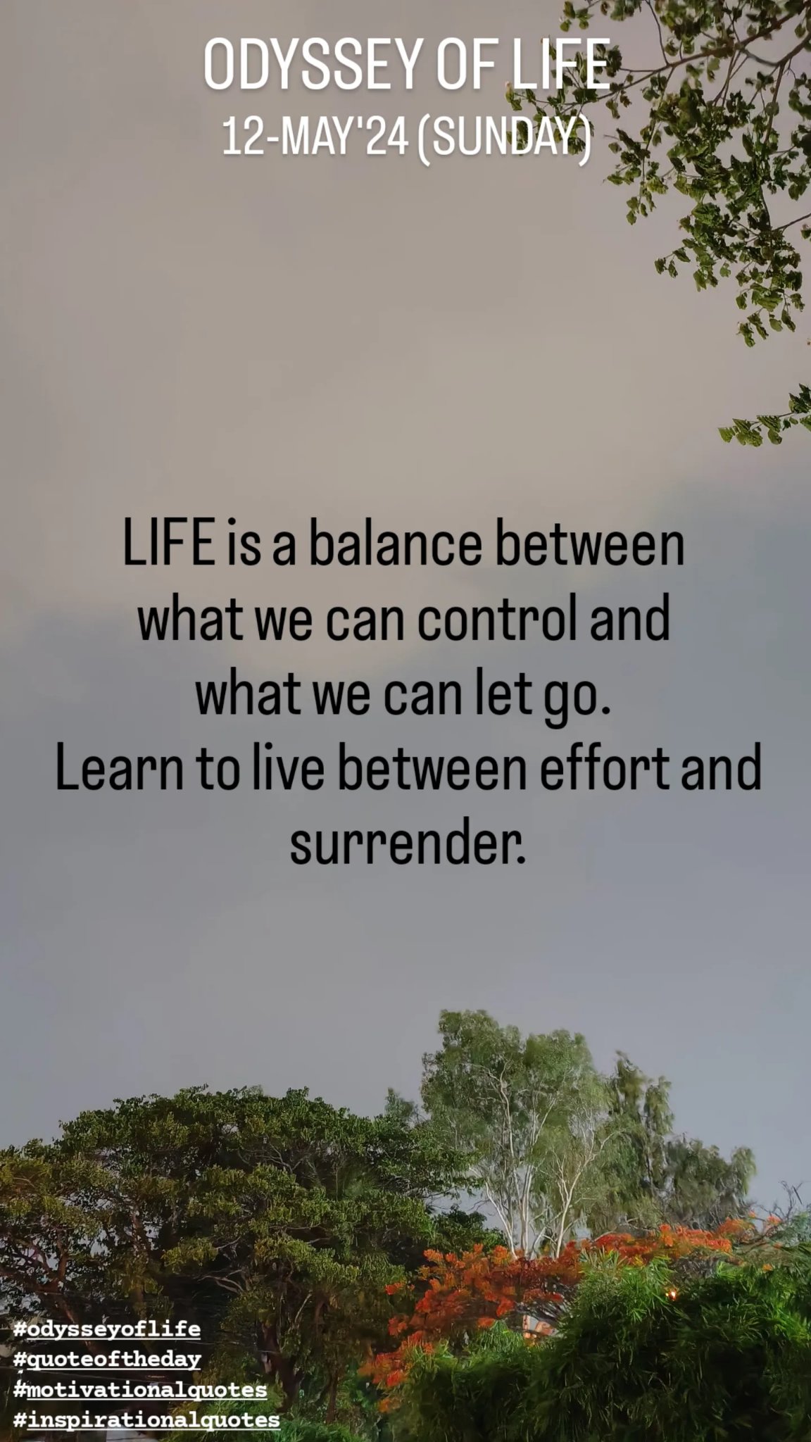 Surrender Control Quotes