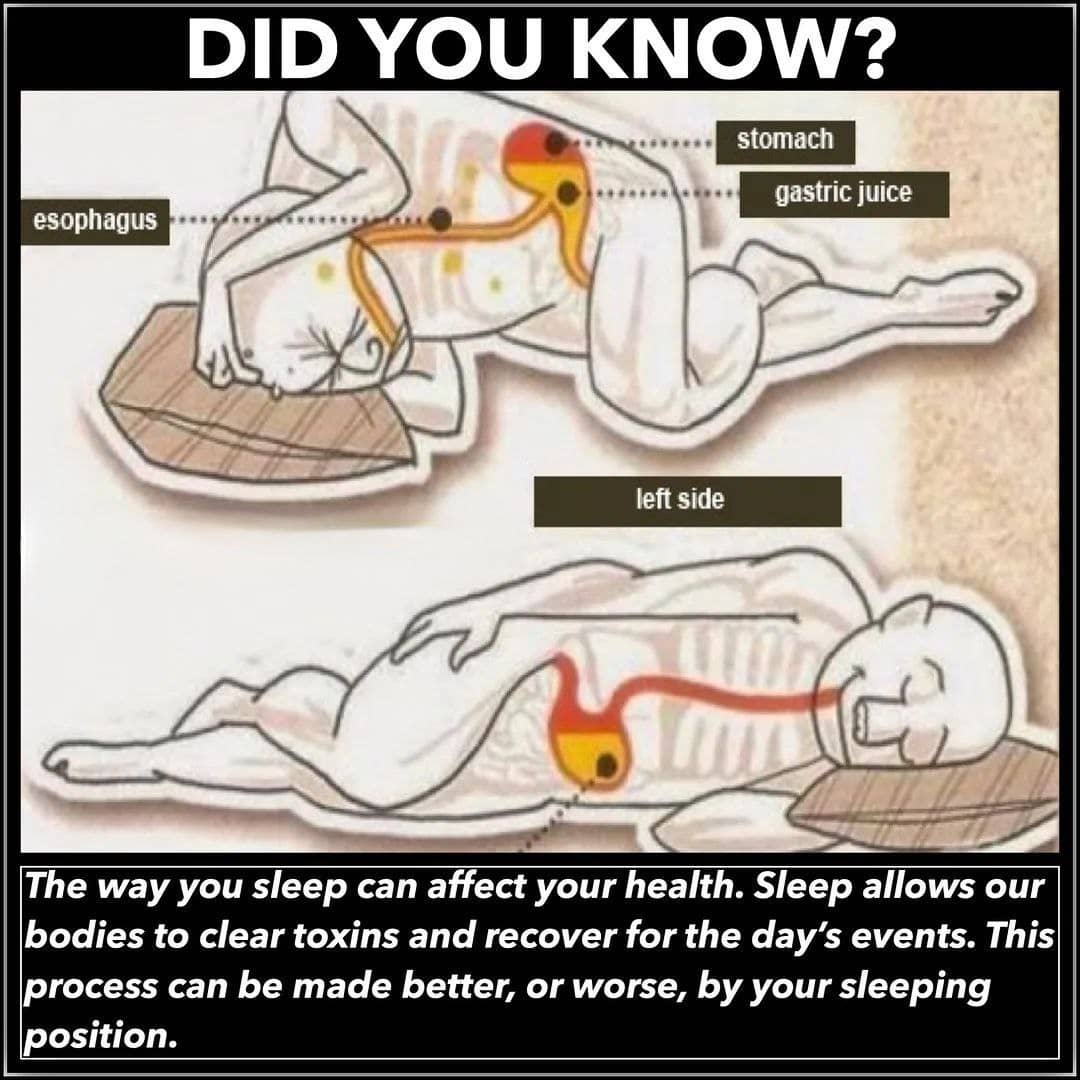 Dr. Martin Hartmann's Threads – Thread Reader App