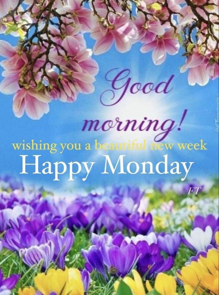 Images Of Good Morning Happy Monday Monday Morning Wishes To Start