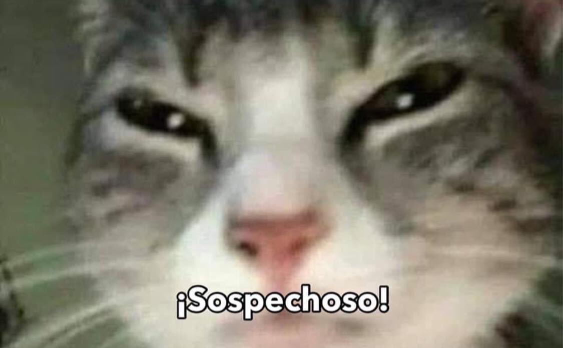 Meme De Gato Sospechoso