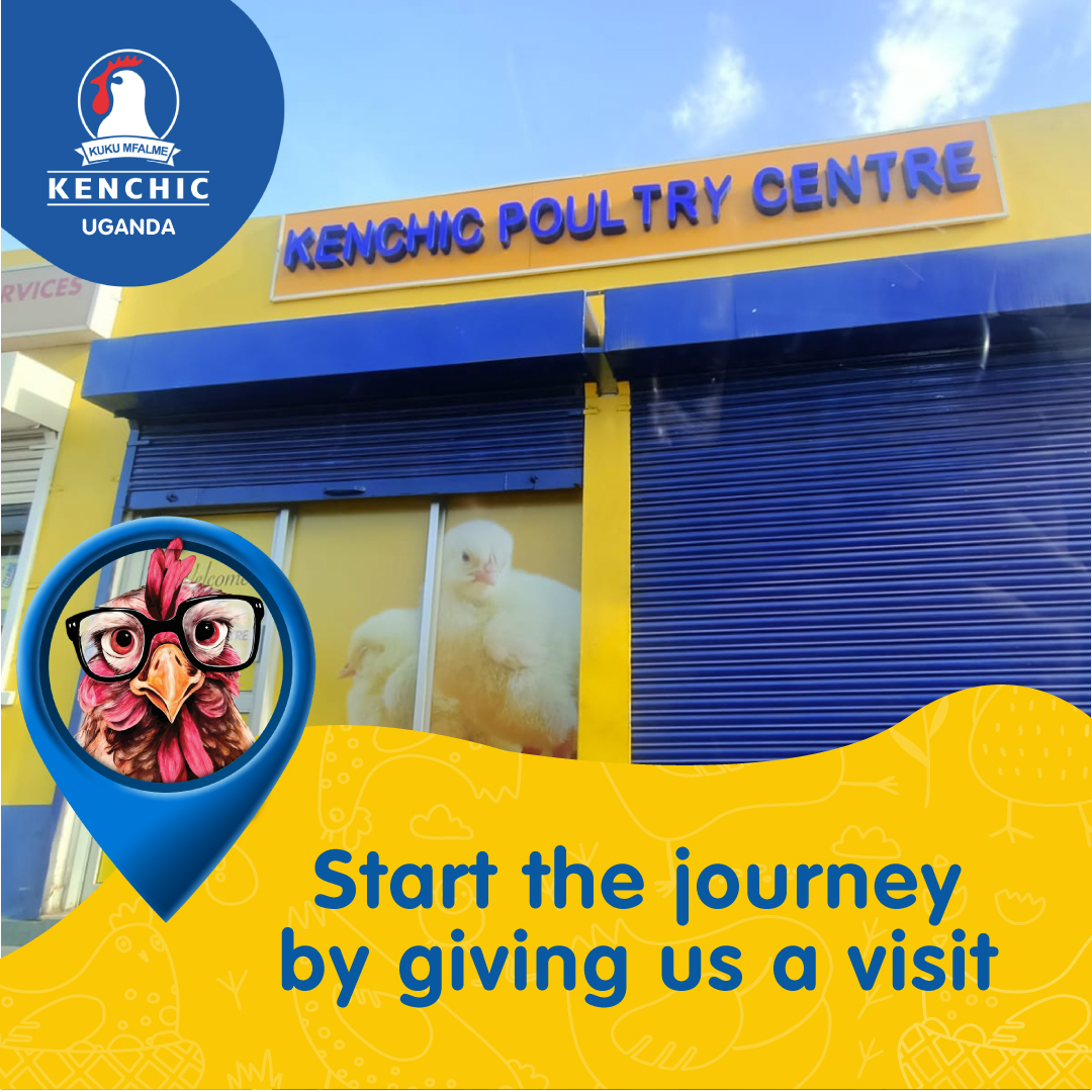 Kenchic Logo Logo Of Fast Food Restaurant! | Logo Design Contest