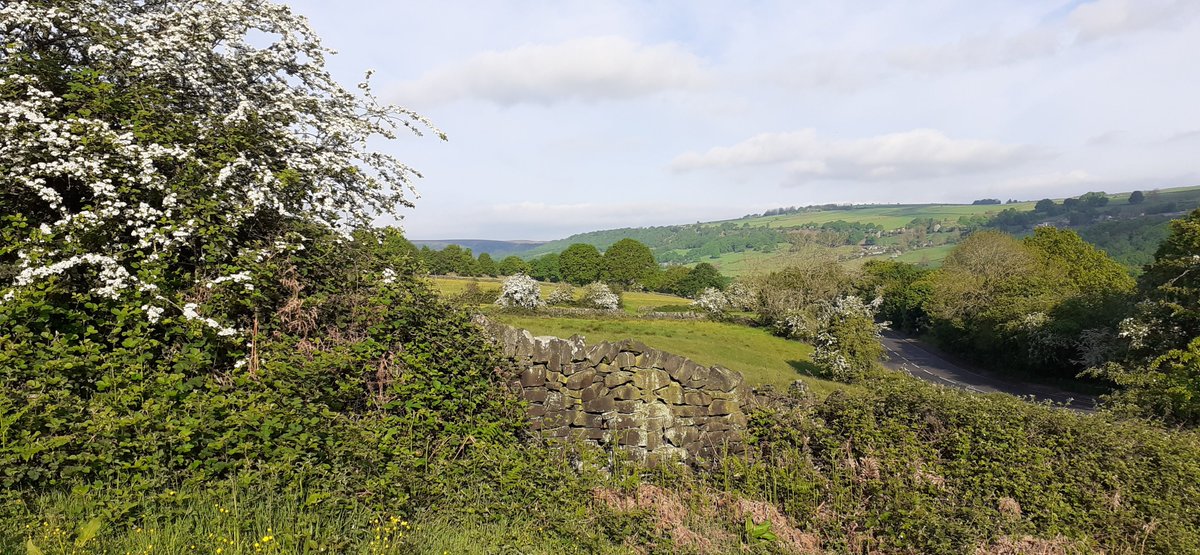 RVCG – Protecting the Rivelin Valley