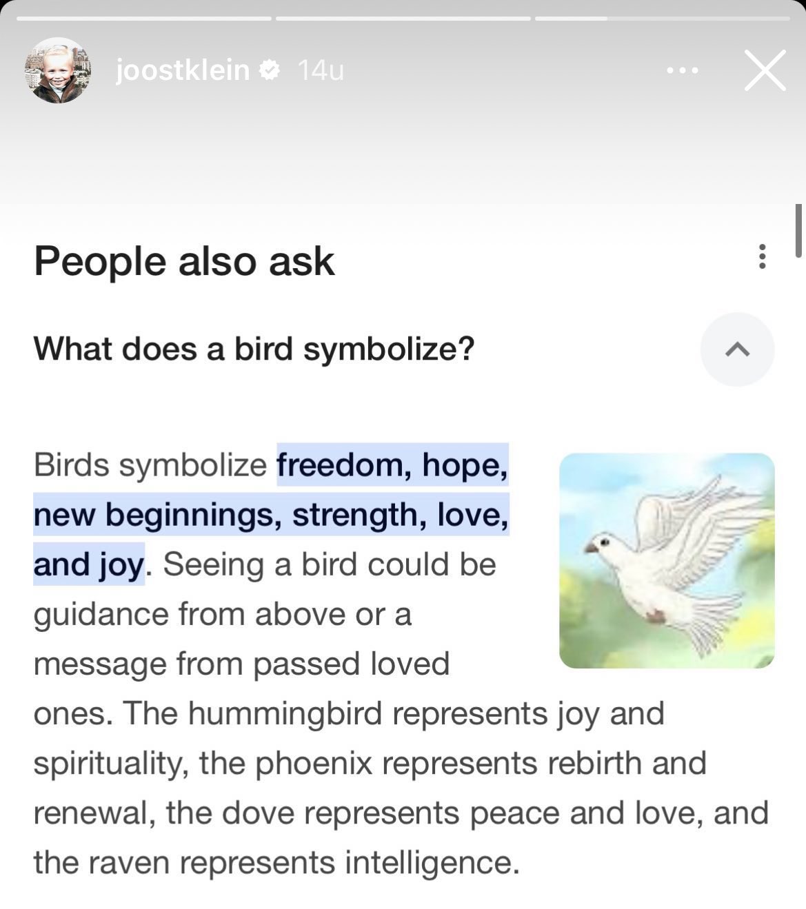 Bird That Represents Strength