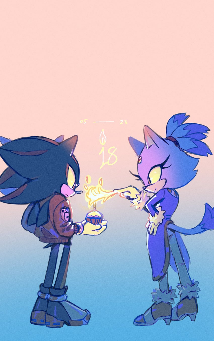 Shadow Vs Blaze By Shadaze | Shipping Wiki | Fandom