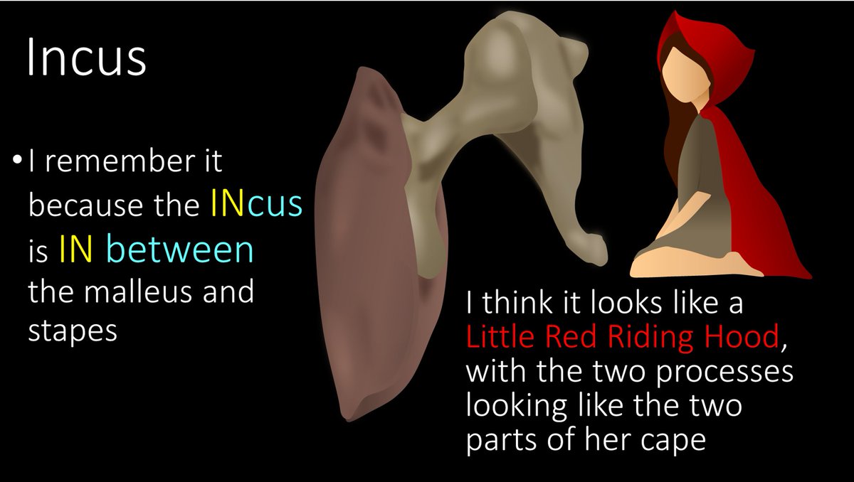 Thread by @teachplaygrub on Thread Reader App – Thread Reader App