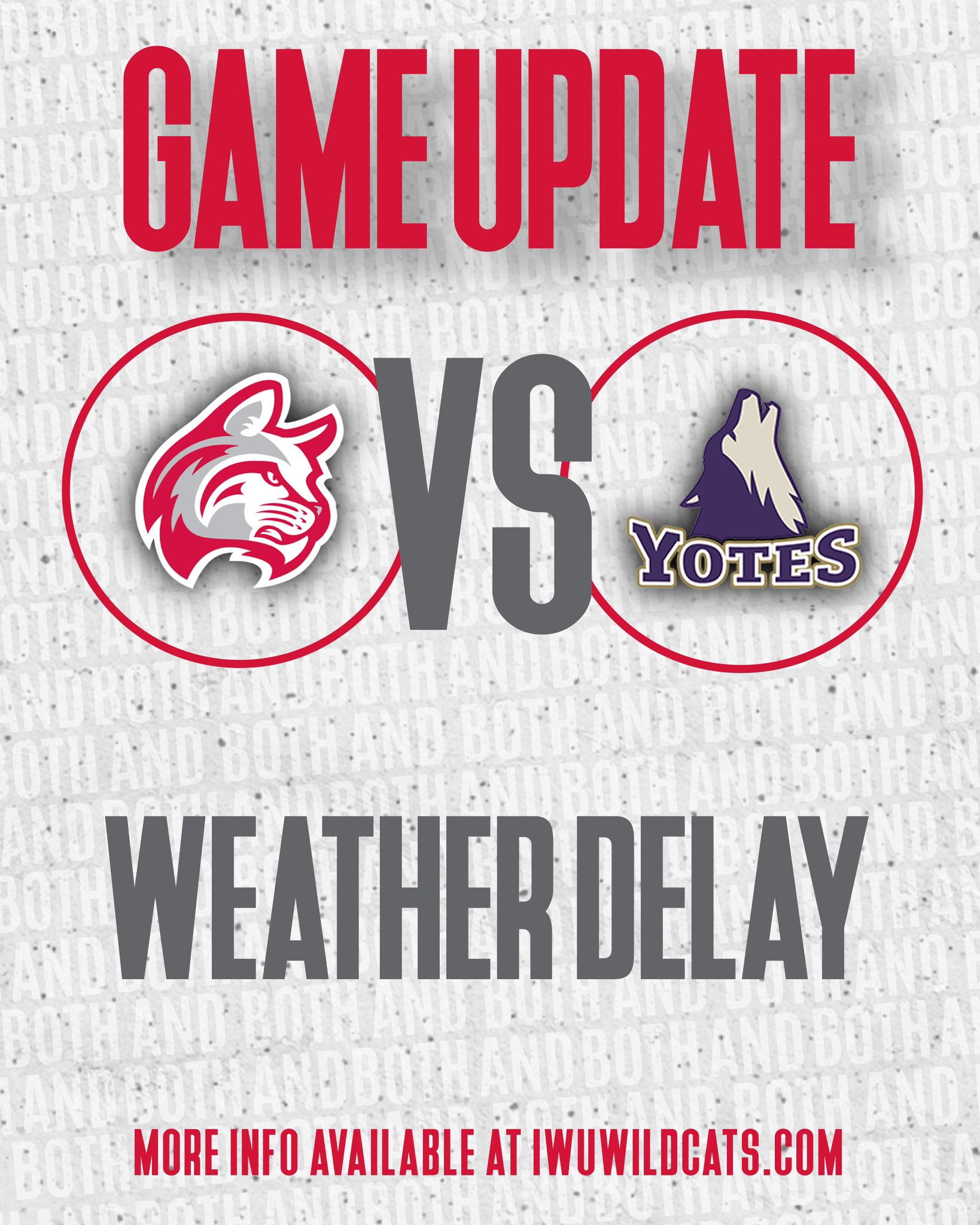 Wsu Cougar Memes Washington State University Fight Song! (Animated