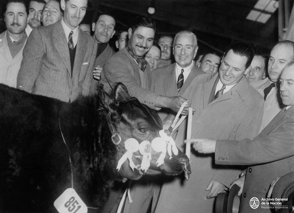 Thread by @OldArg1810 on Thread Reader App – Thread Reader App