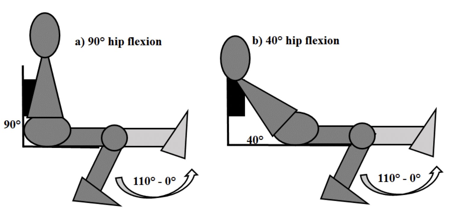 Knee And Hip Flexion And Extension PPT Pre Lateral Photograph II Hip
