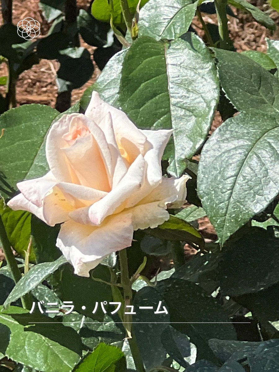 蒲地 輝尚(@tkmc) - Twilog (ツイログ)