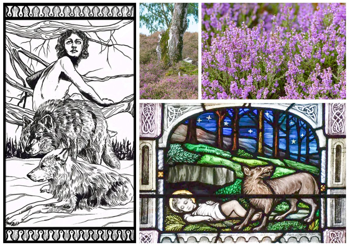 St. Ailbe of Emly is the patron saint of wolves. A legend tells that ...