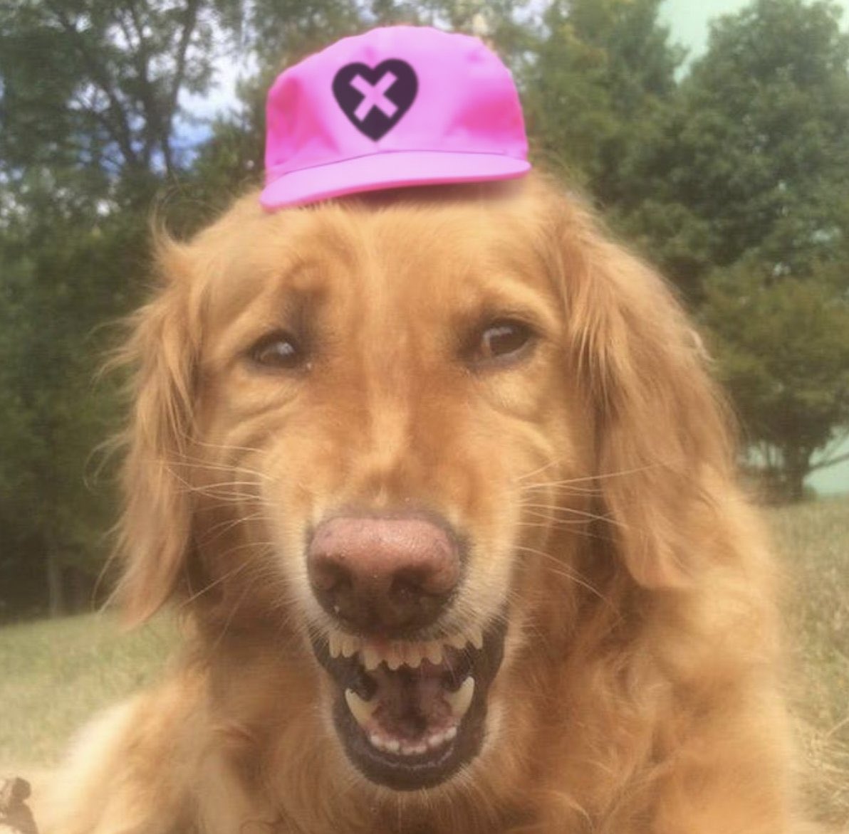 Risa Nerviosa Memes Miedo De Risas Inadecuadas: Estrategias Para El