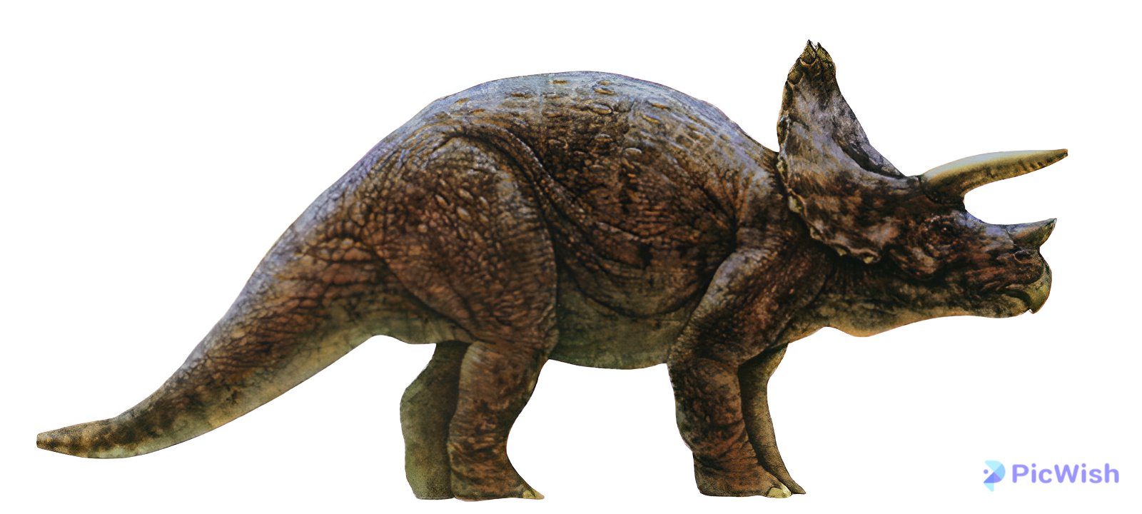 The Game Jurassic World Triceratops Spot It! Jurassic World Camp
