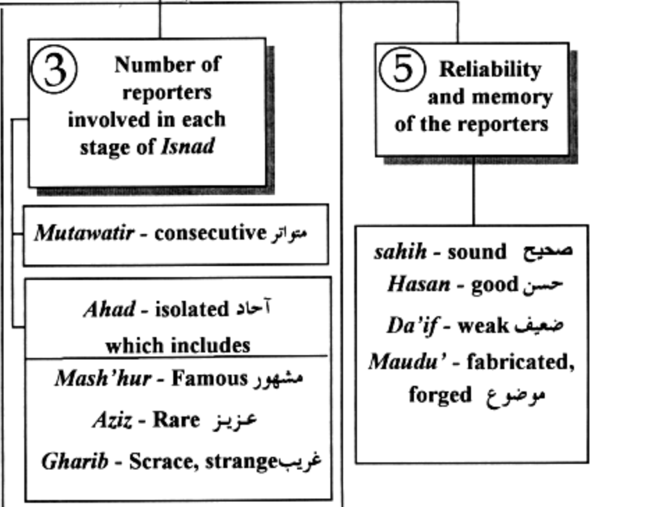 Hadith Sciences (teaser) @Farid_0v A hadith consists of two parts: the ...