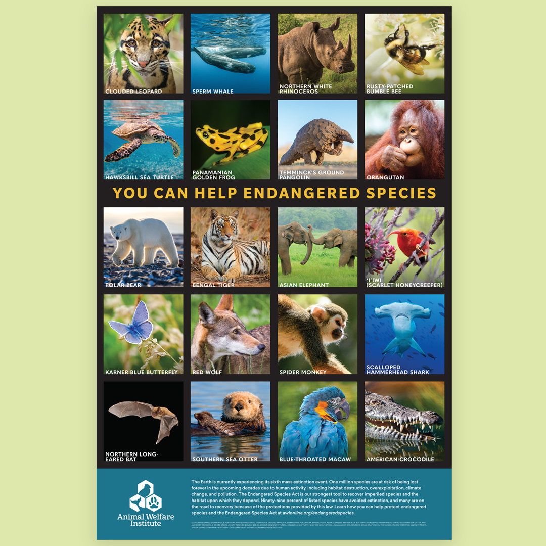 Endangered Species Poster Agriculture, Fisheries And Conservation