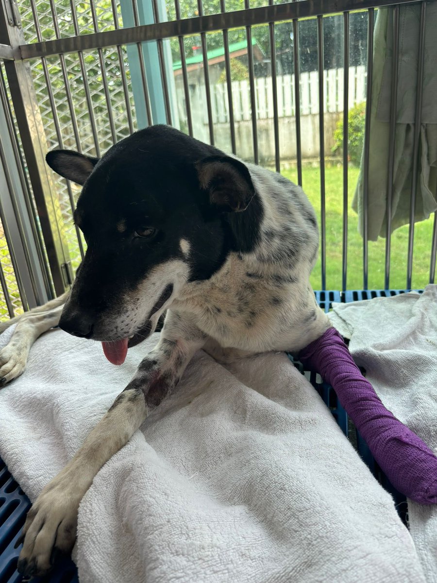 Niall Harbison's Threads – Thread Reader App