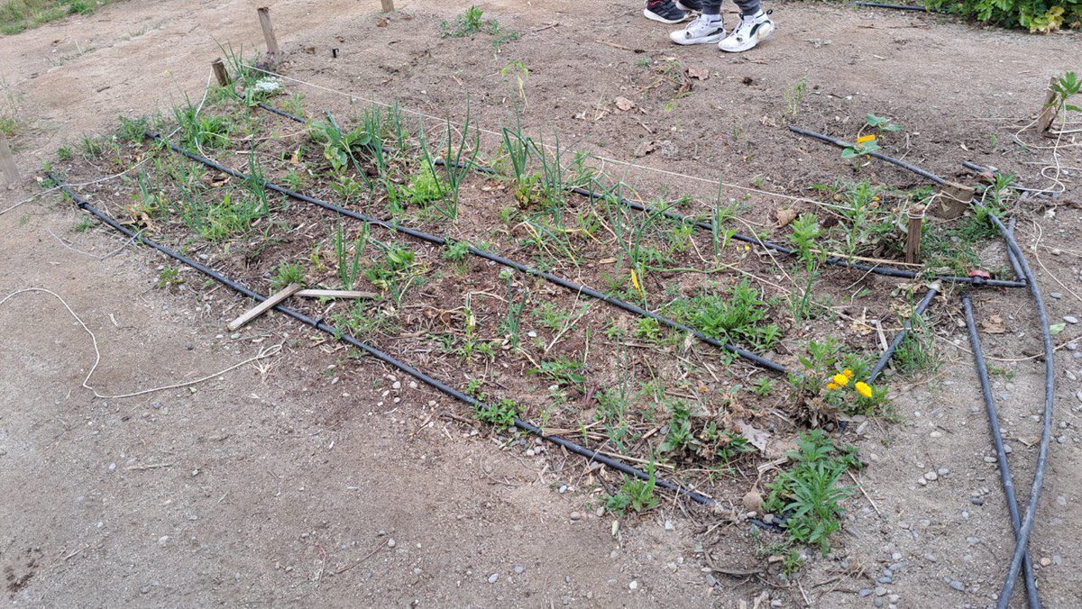 AFA Institut Escola Catalunya @afa_catalunya X Profile | Muskviewer