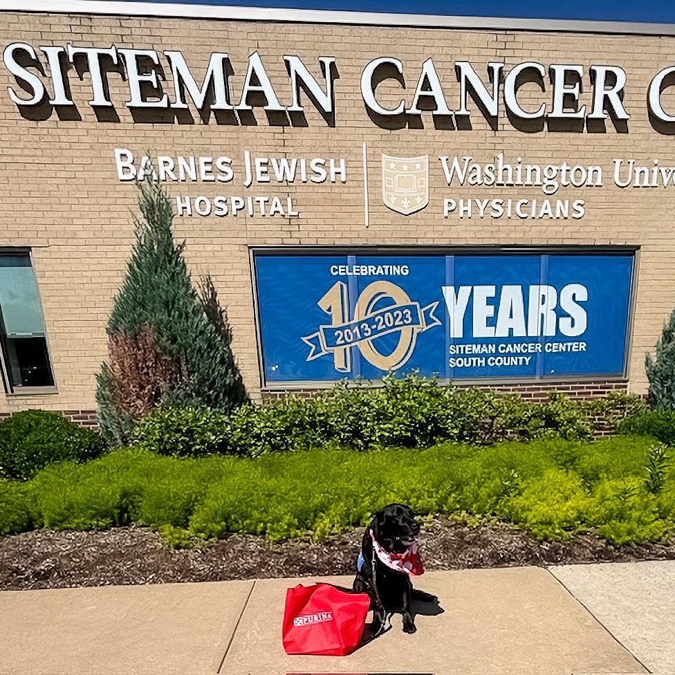 Siteman Cancer Center Logo