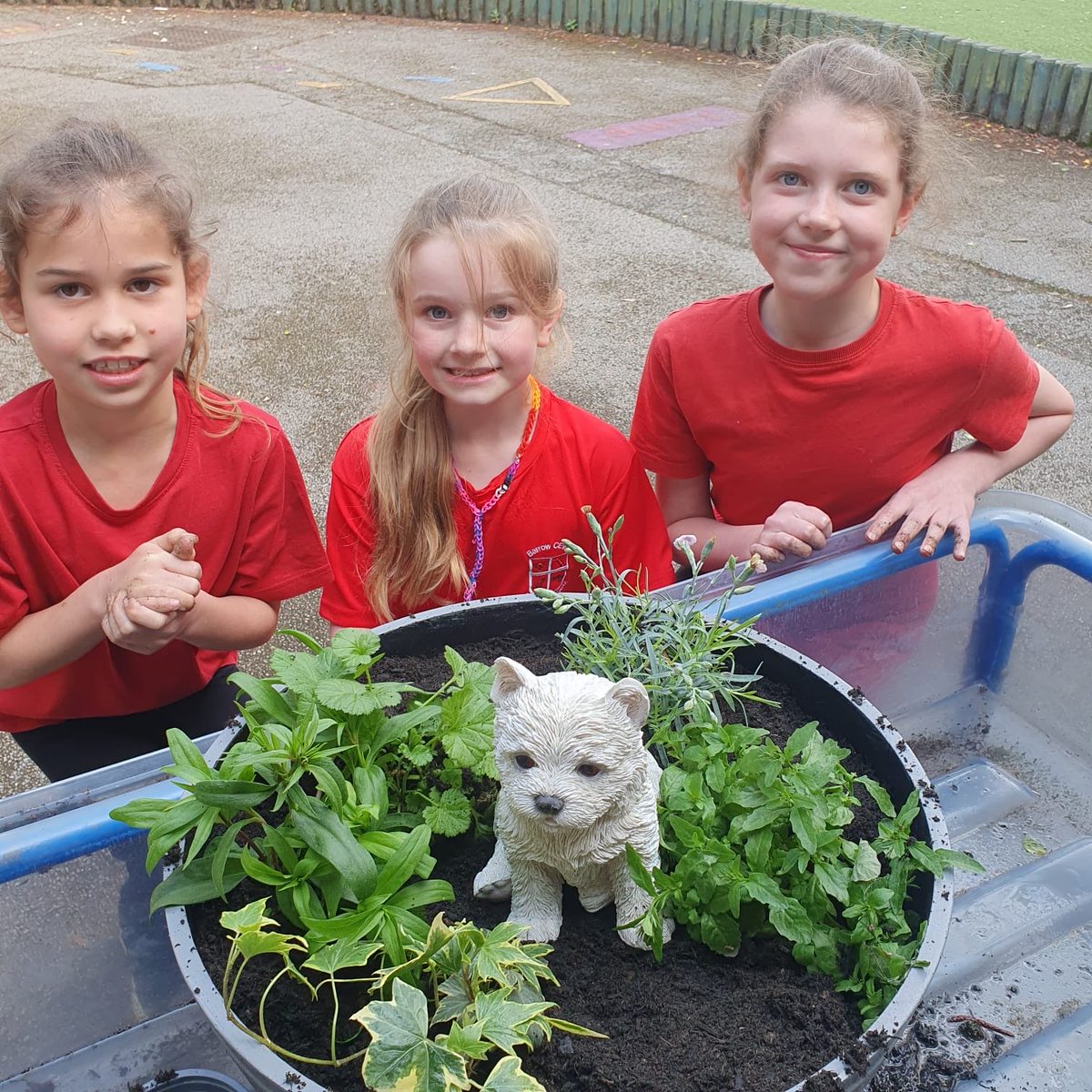 Barrow CEVC Primary School