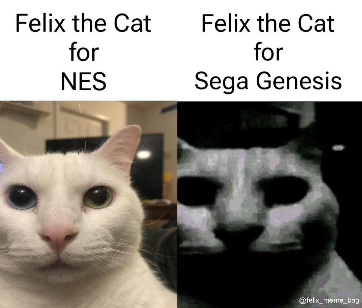 Felix The Cat Meme