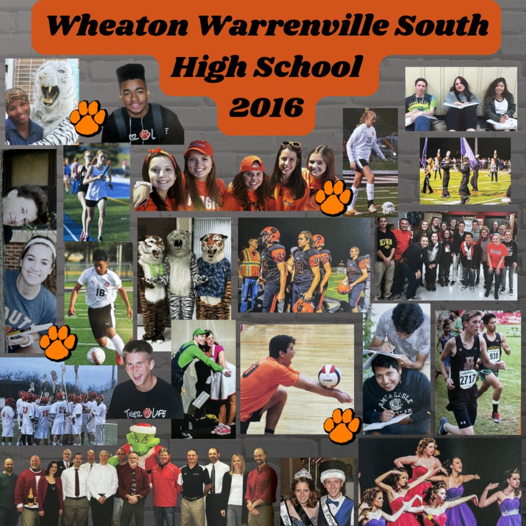 Wheaton Warrenville South High School Boys' Varsity Lacrosse | High