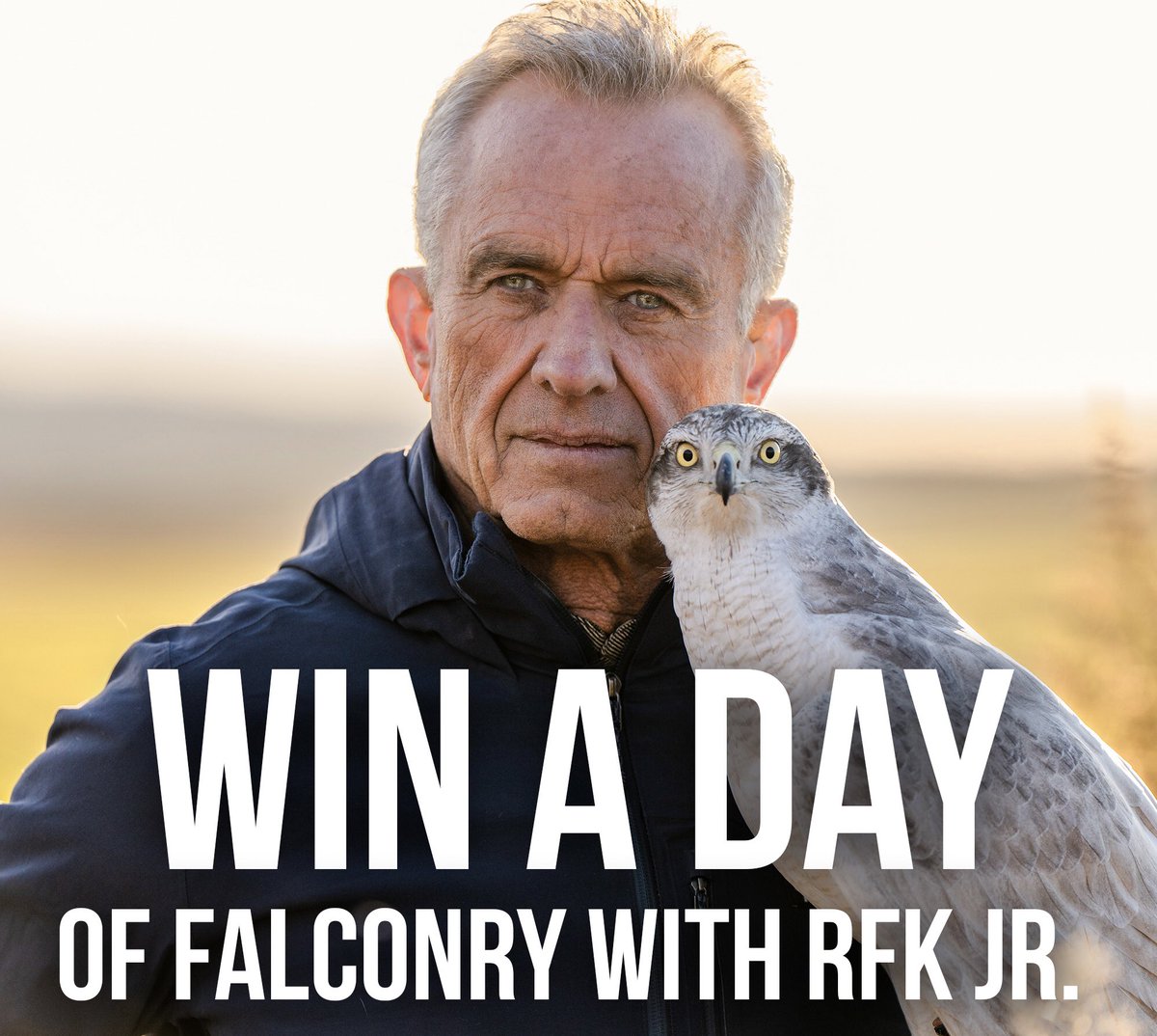 Win a day of falconry with RFK Jr.! - Democratic Underground Forums