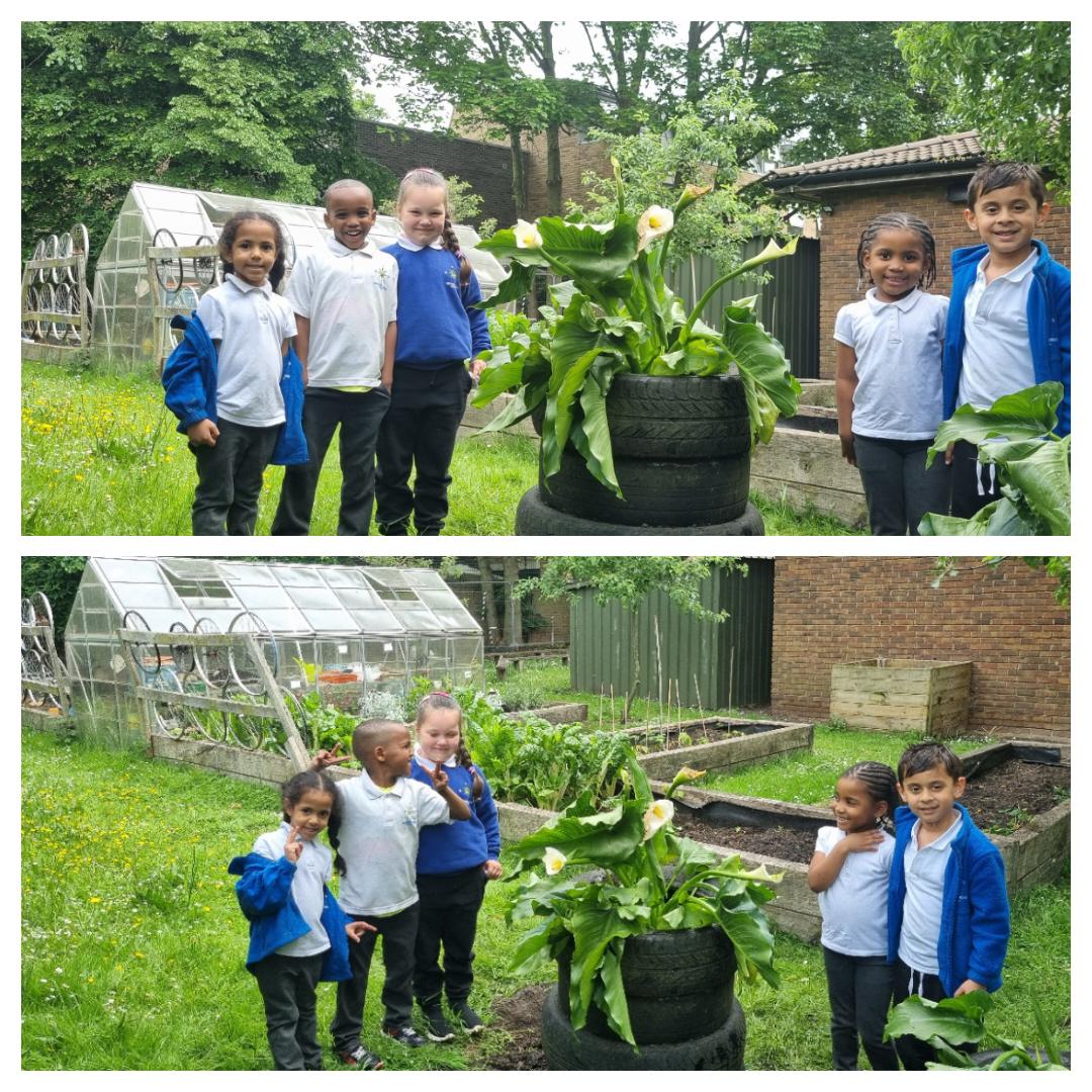 Southern Road Primary School – Strive, Resilience, Pride, Success