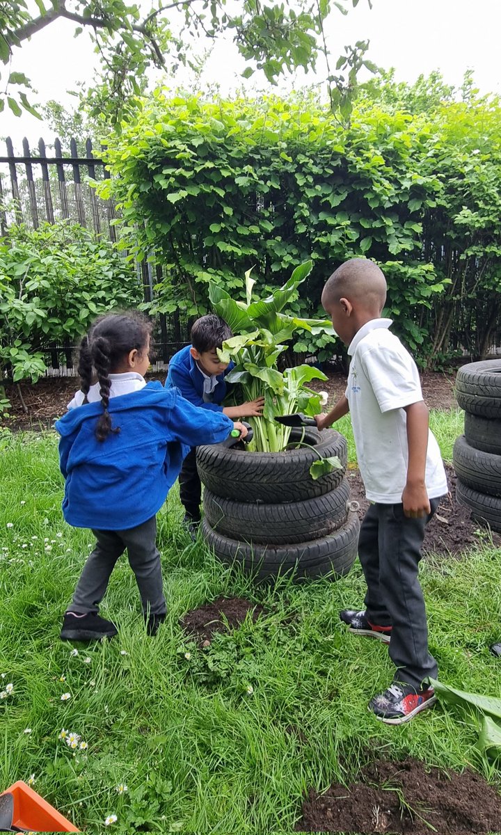 Southern Road Primary School – Strive, Resilience, Pride, Success