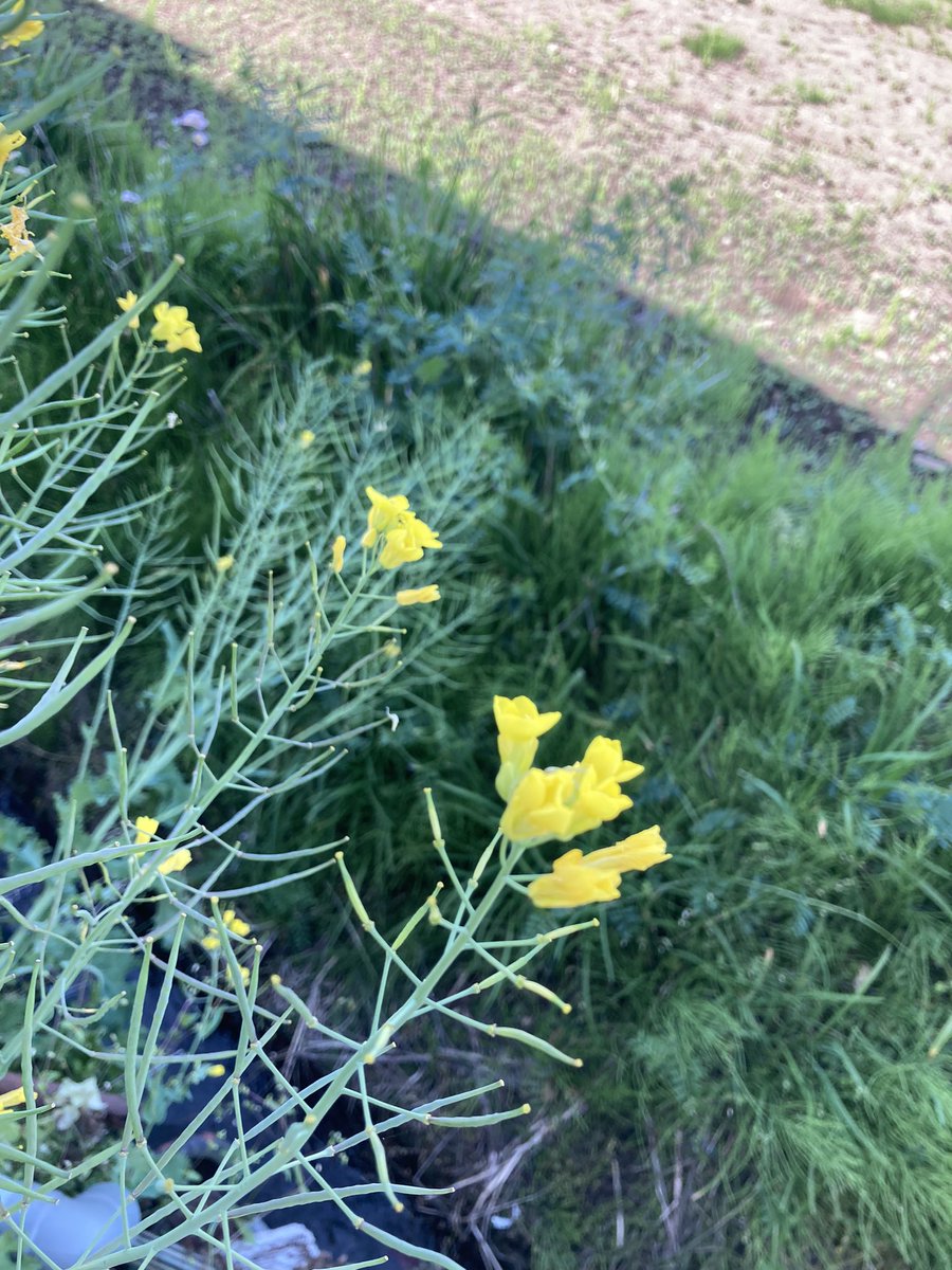 古籏一浩(@openspc) - Twilog (ツイログ)