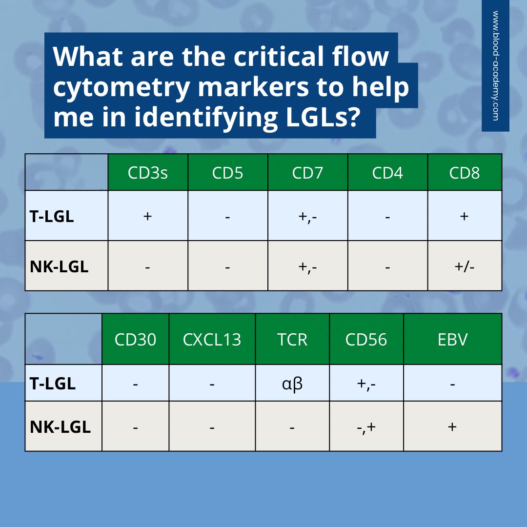 1/ Do you know what these cells are? There are, of course, large ...