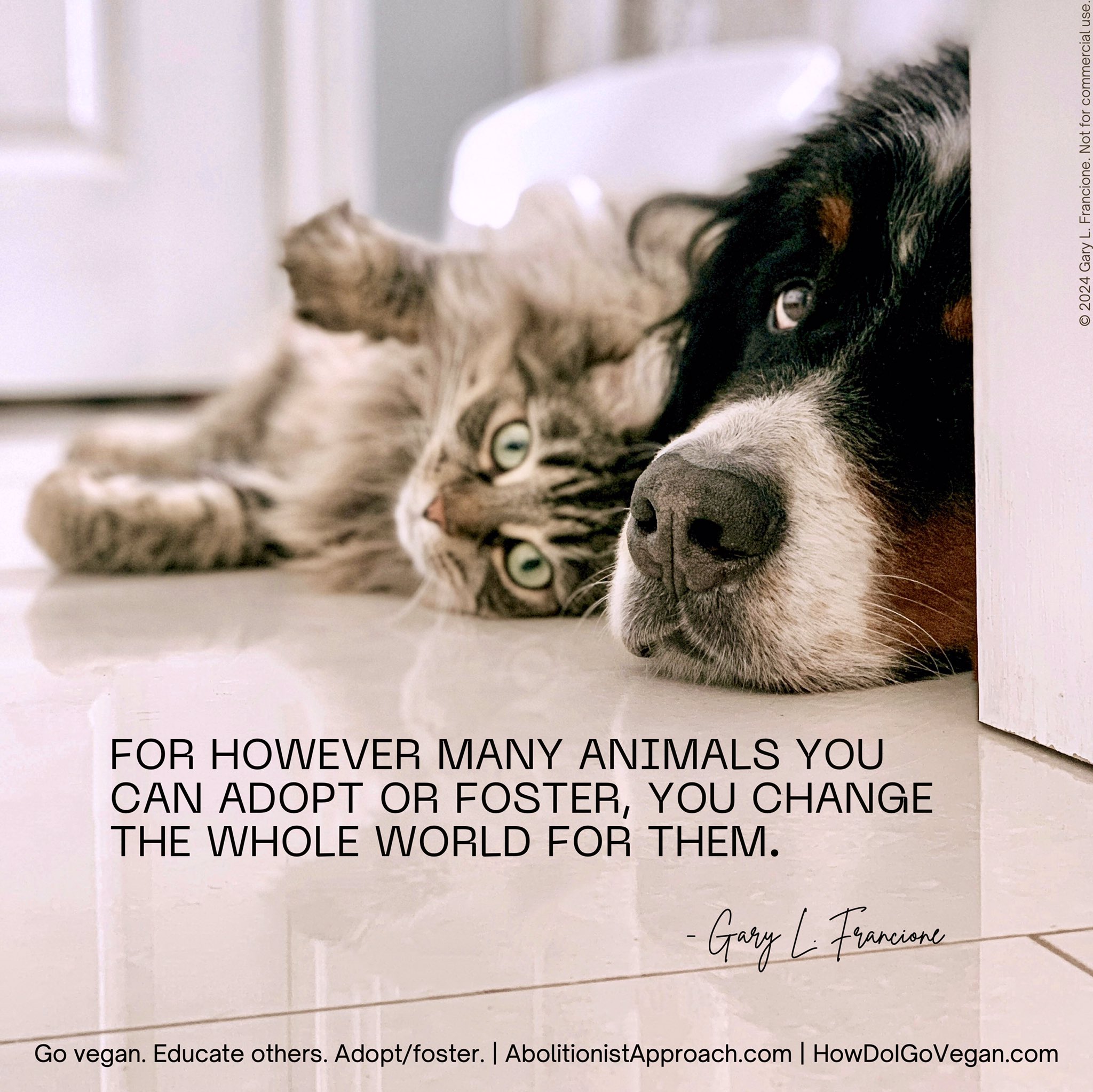 Gary L Francione Quotes Prof. Gary Francione On X: "There Are Millions