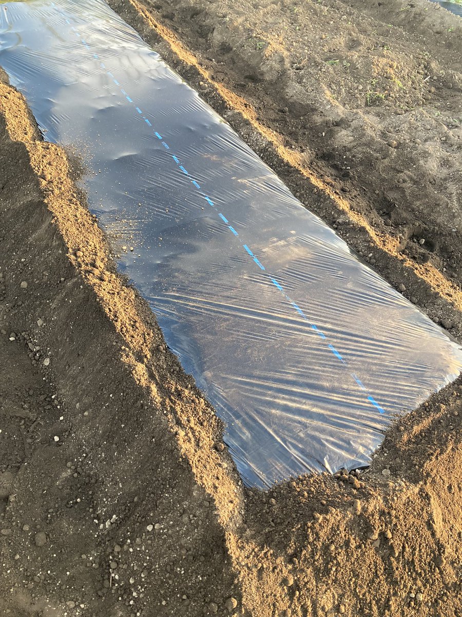 古籏一浩(@openspc) - Twilog (ツイログ)