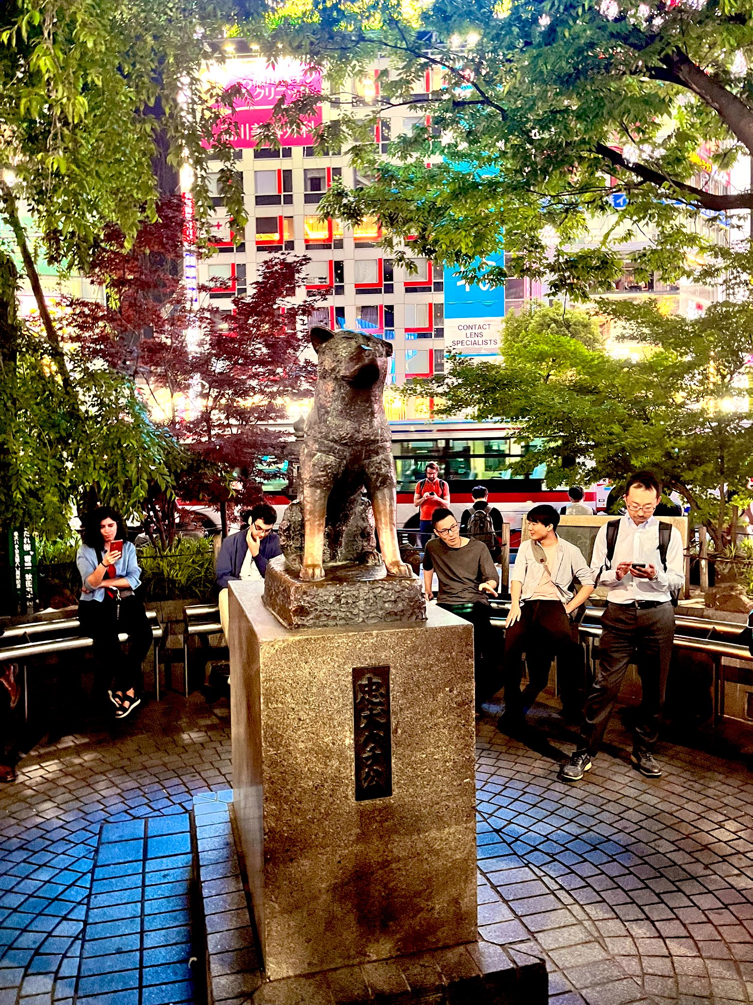 Hachiko Statue At The Train Station