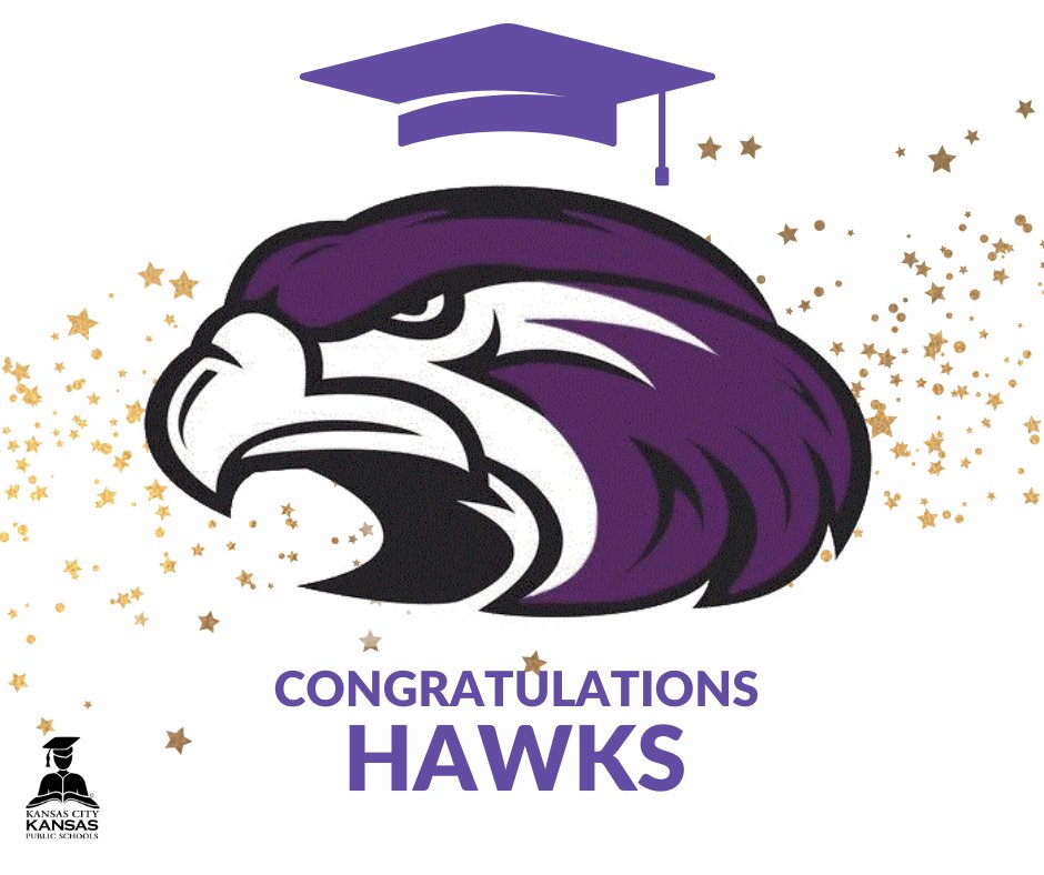 Purple Hawk Logo