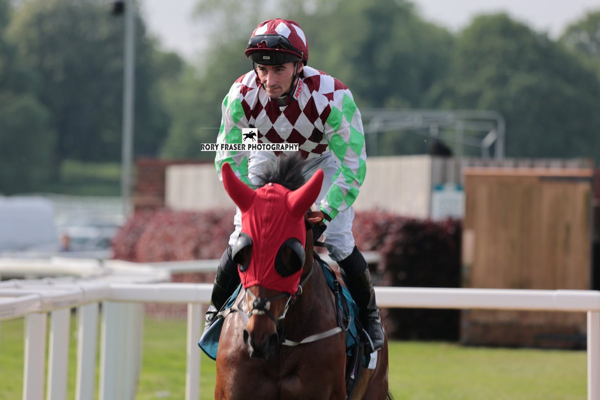 David O'Meara Racing | Racehorse Trainer in York | Get your heart racing!