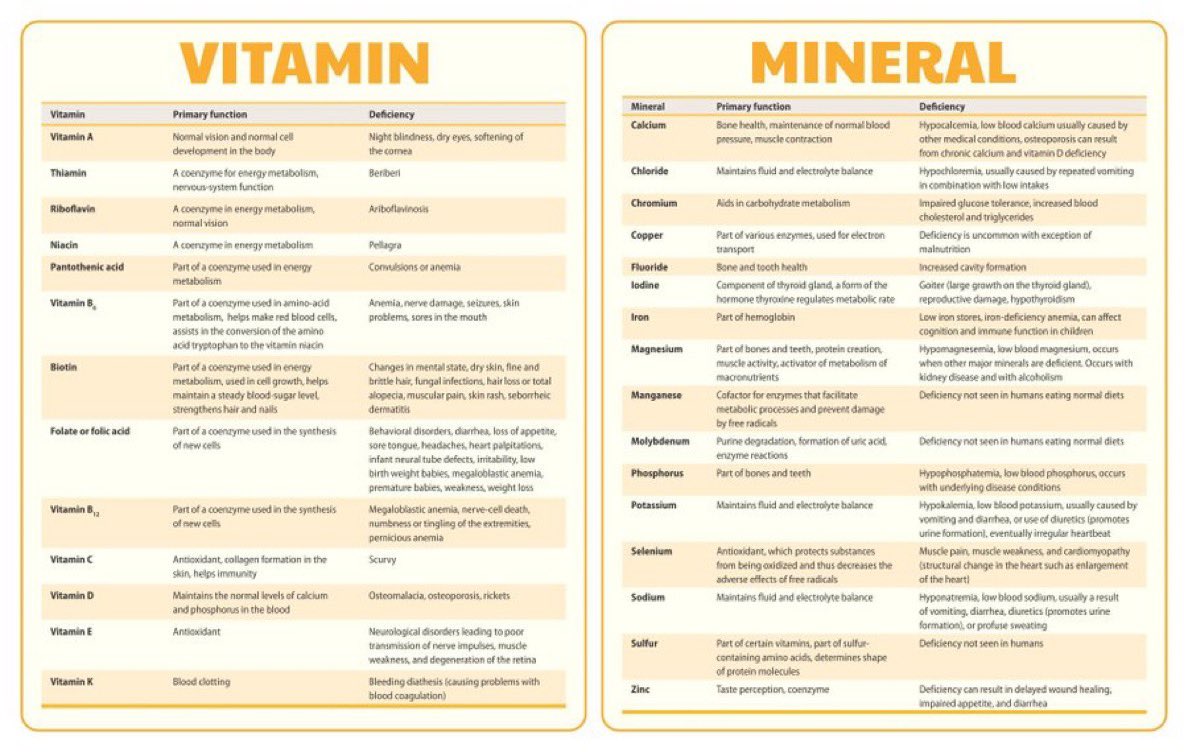 Vitamins And Minerals Chart With Functions Health And Nutrition Guide