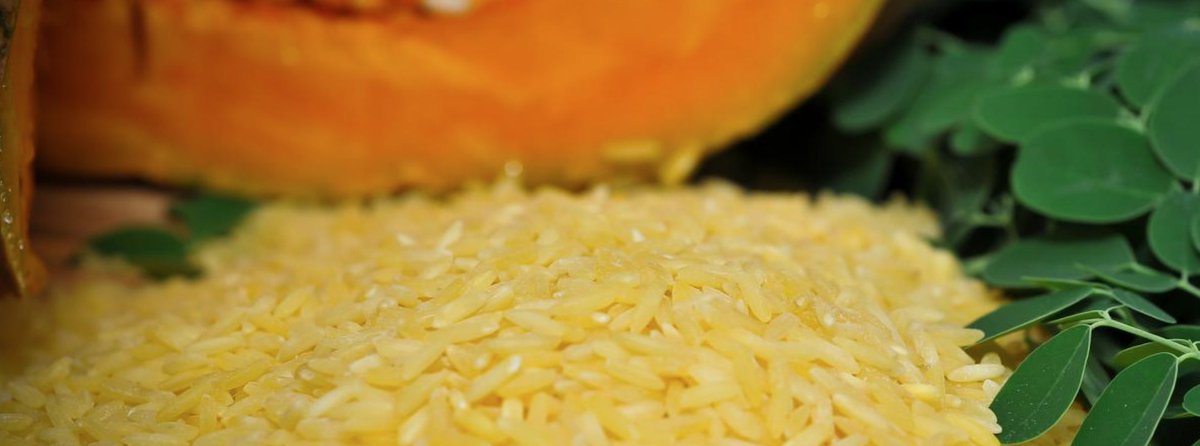 ‘Gobsmackingly bananas’ – is the Earth about to record its highest ...