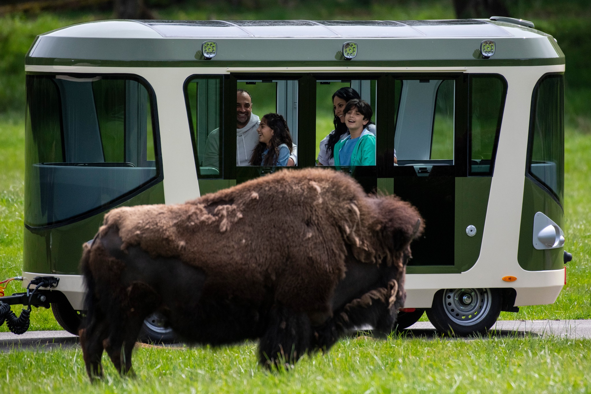 Northwest Trek Wildlife Park