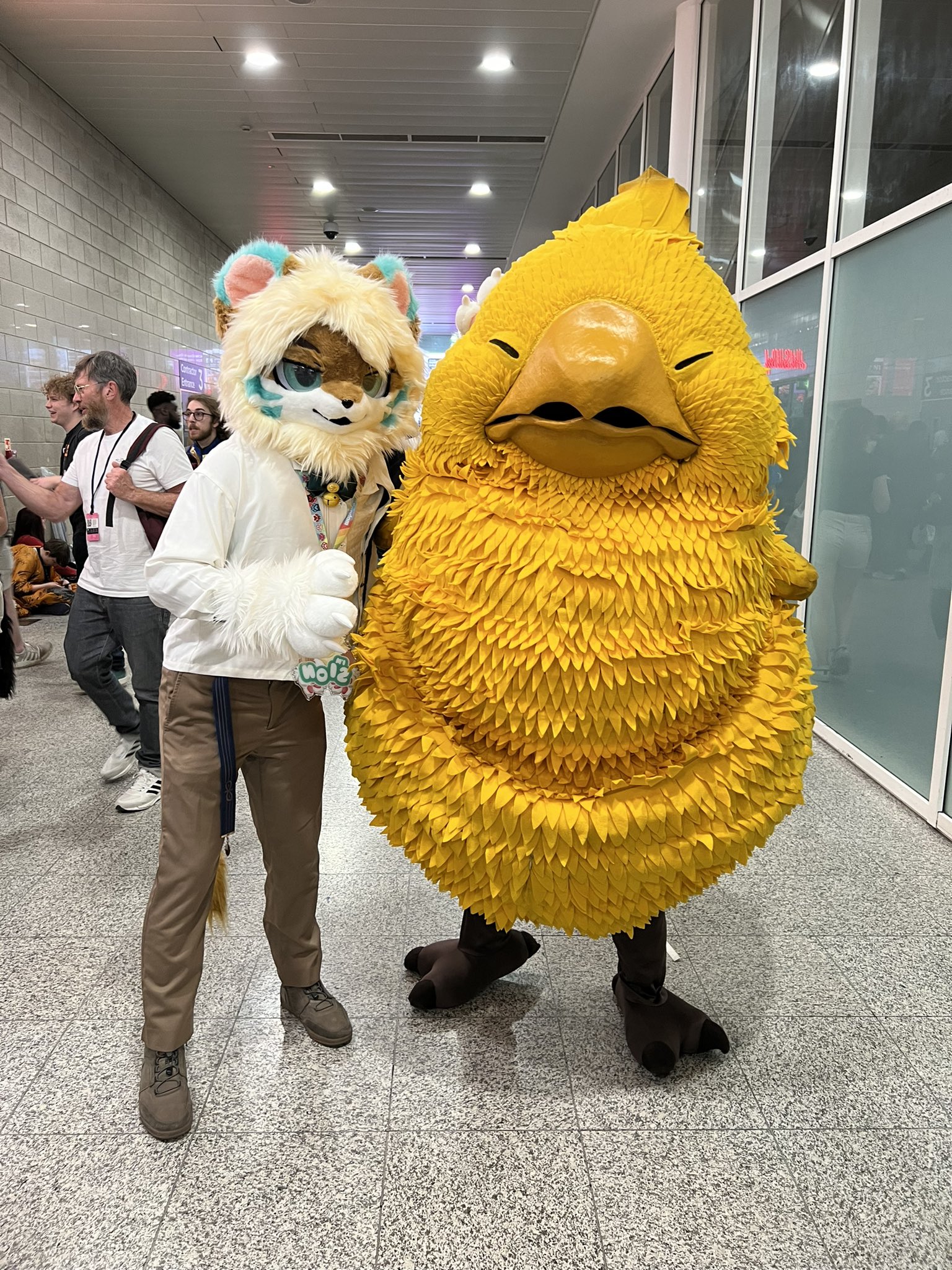 Ffxiv Chocobo Cosplay