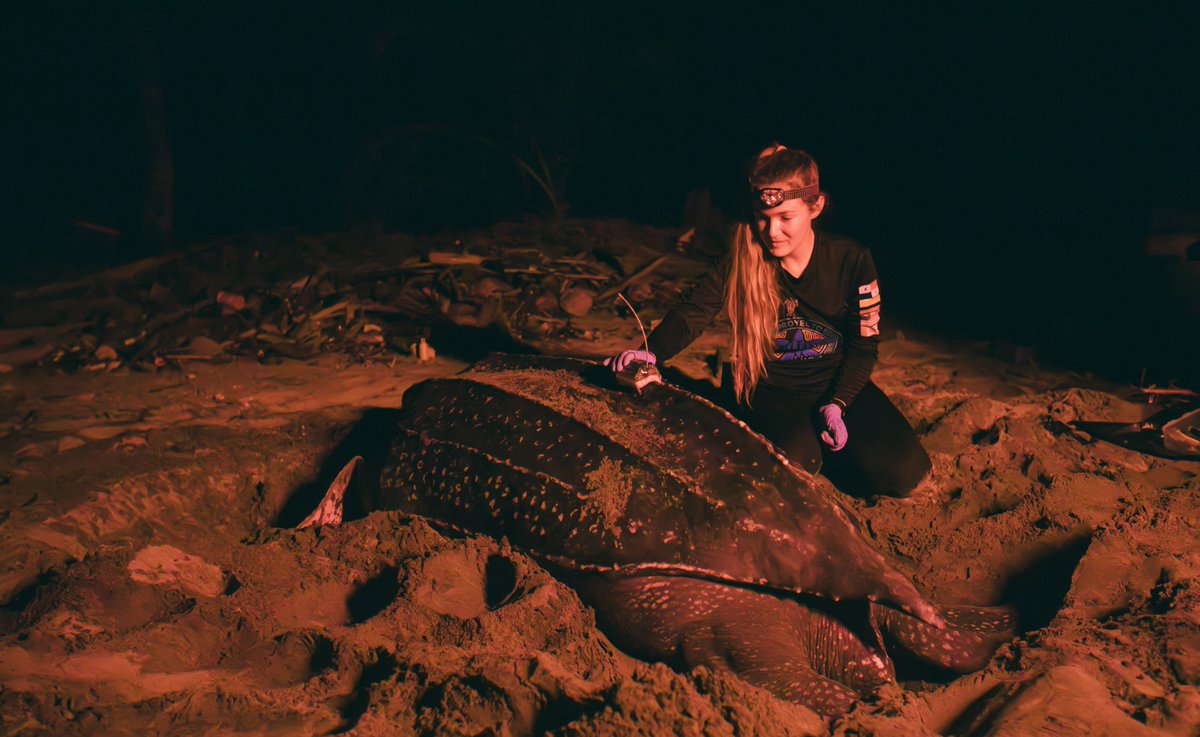 Endurance22 Expedition - Finding Shackleton's Lost Ice Ship