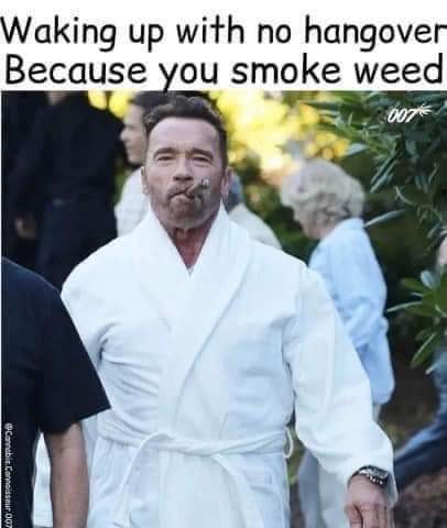 Weed Hangover Memes The Reasons Why Teens Like Weed And Alcohol Might