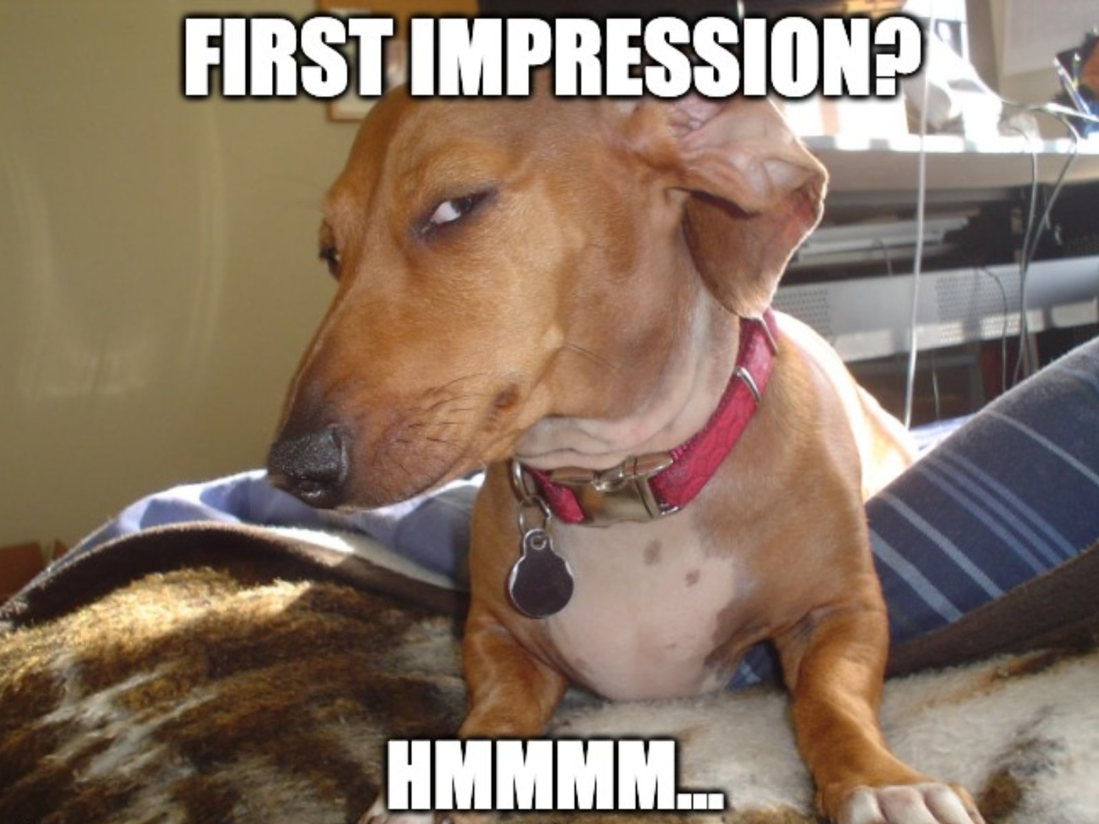 Funny First Impressions My Friend Couldn't Remember His First