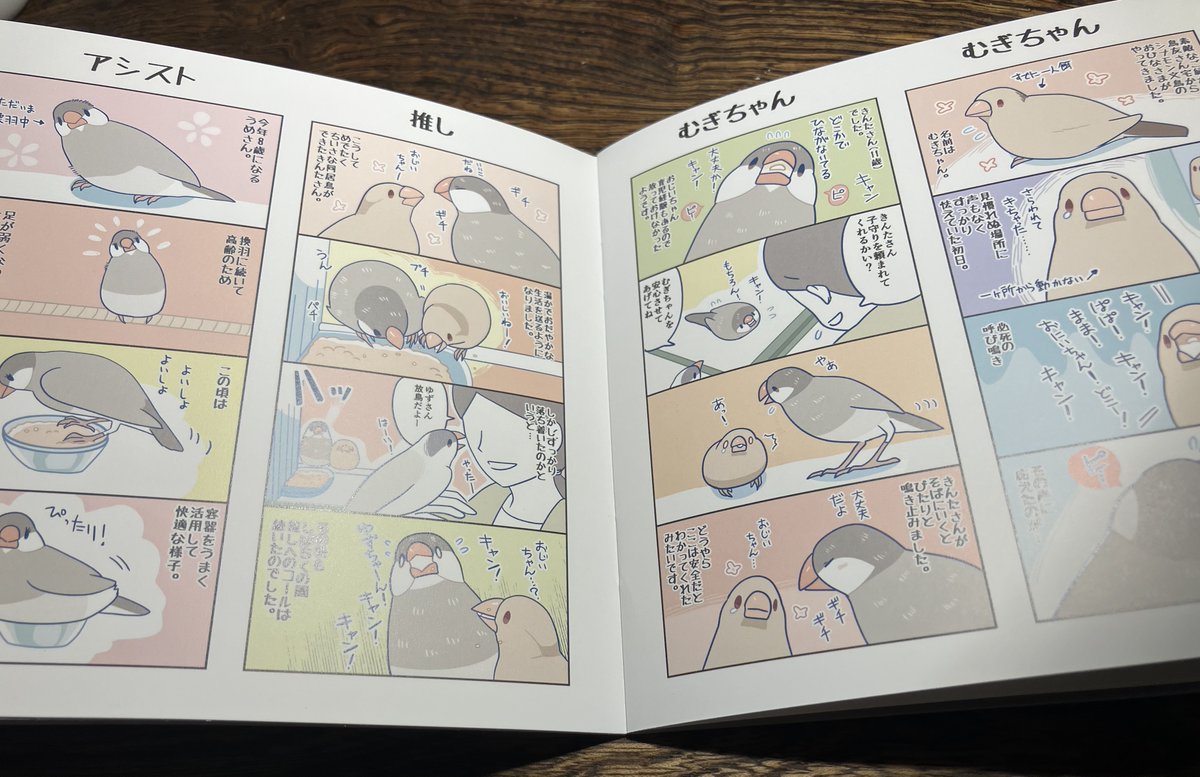 「#COMITIA 新刊①「BUNCHOBOXぶどう」 CDサイズフルカラーの文鳥さん4コマ漫画。今回はゆずさんやさつきち」文/ 新木南生の漫画