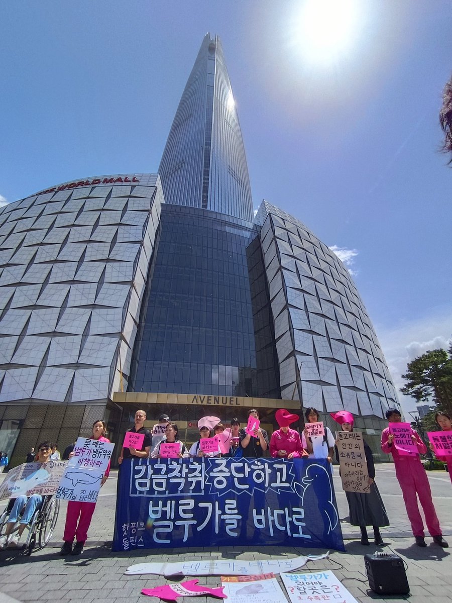 Thread by @koryodynasty on Thread Reader App – Thread Reader App