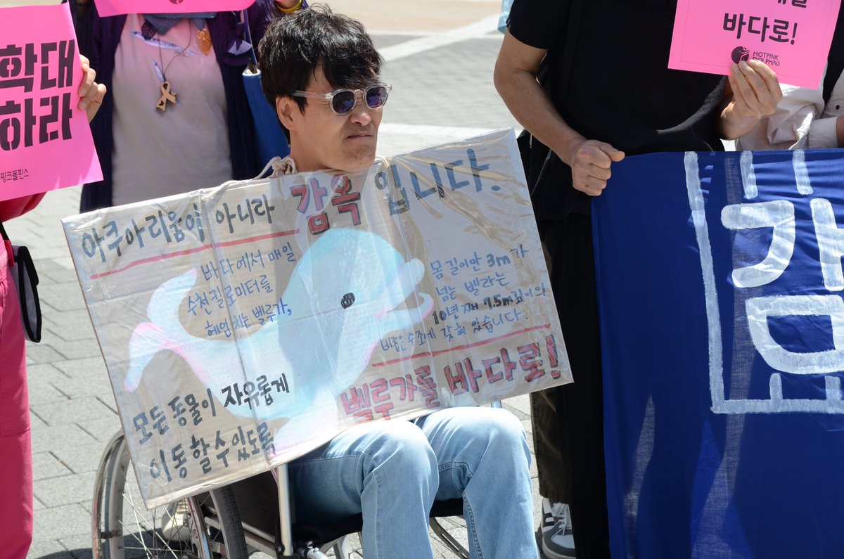 Thread by @koryodynasty on Thread Reader App – Thread Reader App