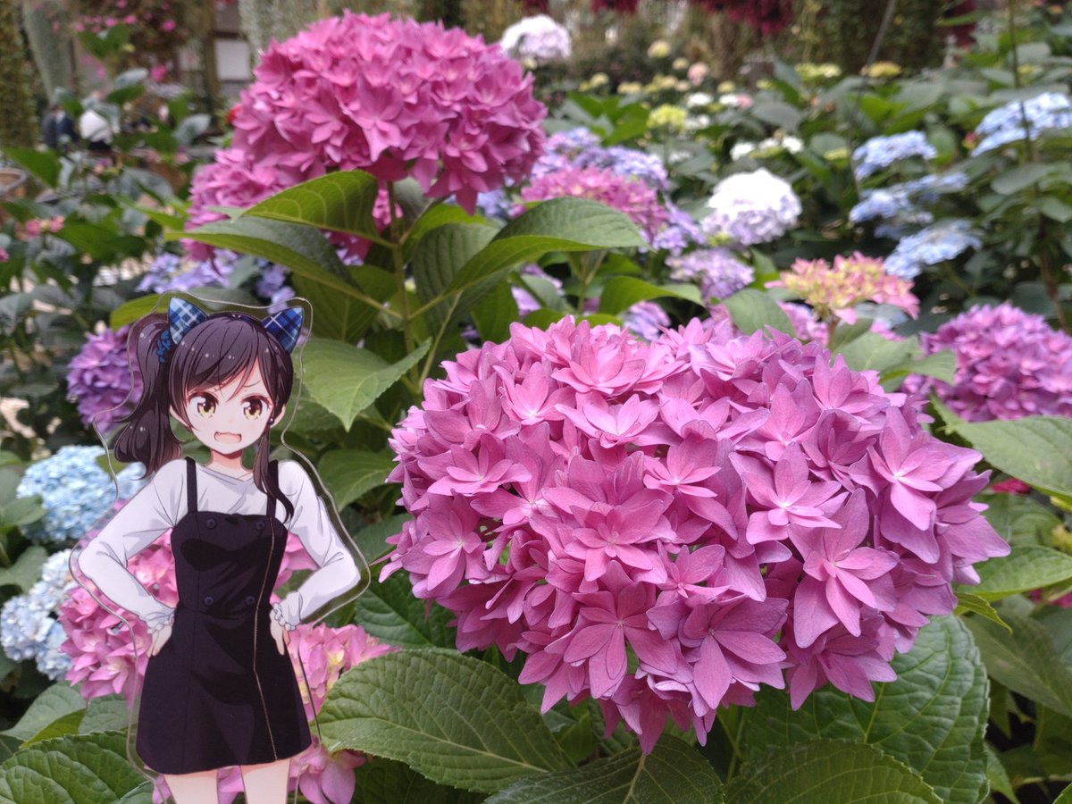 ちりも(@crm_tndrs) - Twilog (ツイログ)