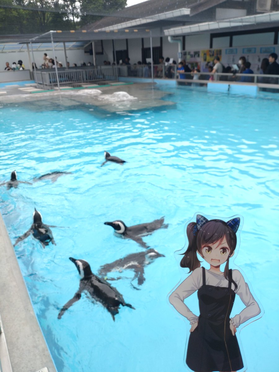 ちりも(@crm_tndrs) - Twilog (ツイログ)